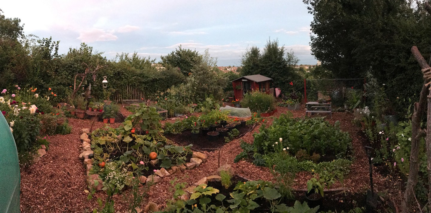About – Homegrown Garden